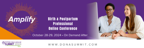 Spirit Fund Application | DONA International